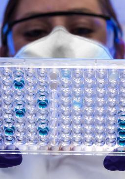 Clinical Research & Trial Organization| Remediumone